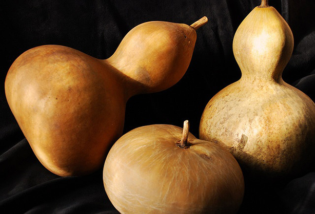 10 Symbolic Rosh Hashanah Foods From the Garden - Urban Gardens